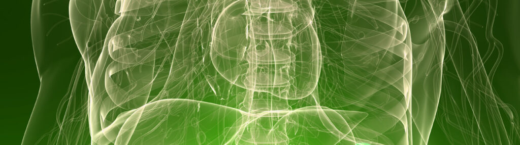 General Imaging - Emu Medical group